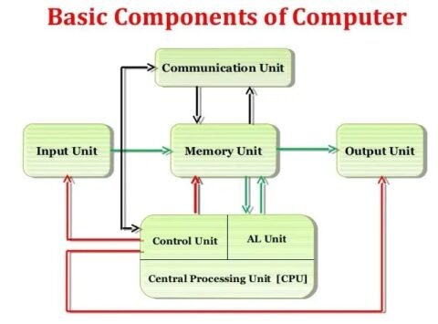 CBSE Class XI – Computer System Overview Notes | Edukers